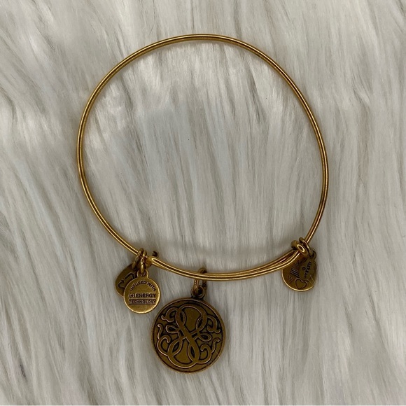 Alex and Ani | Jewelry | Alex And Ani Path Of Life Rafaelian Gold Charm Bangle Bracelet | Poshmark